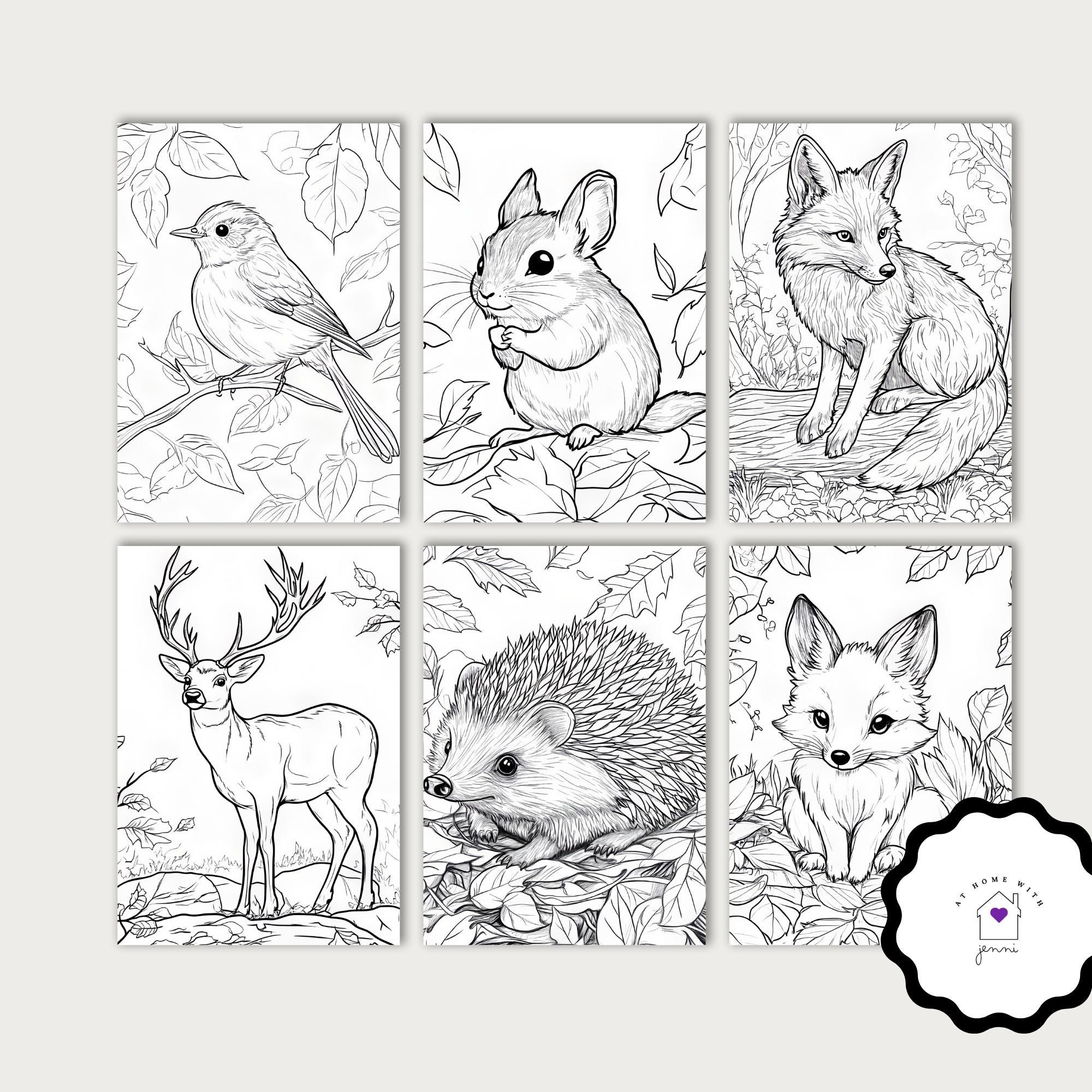 Printable Autumn Animal Coloring Pages Relaxing Coloring for Kids ...