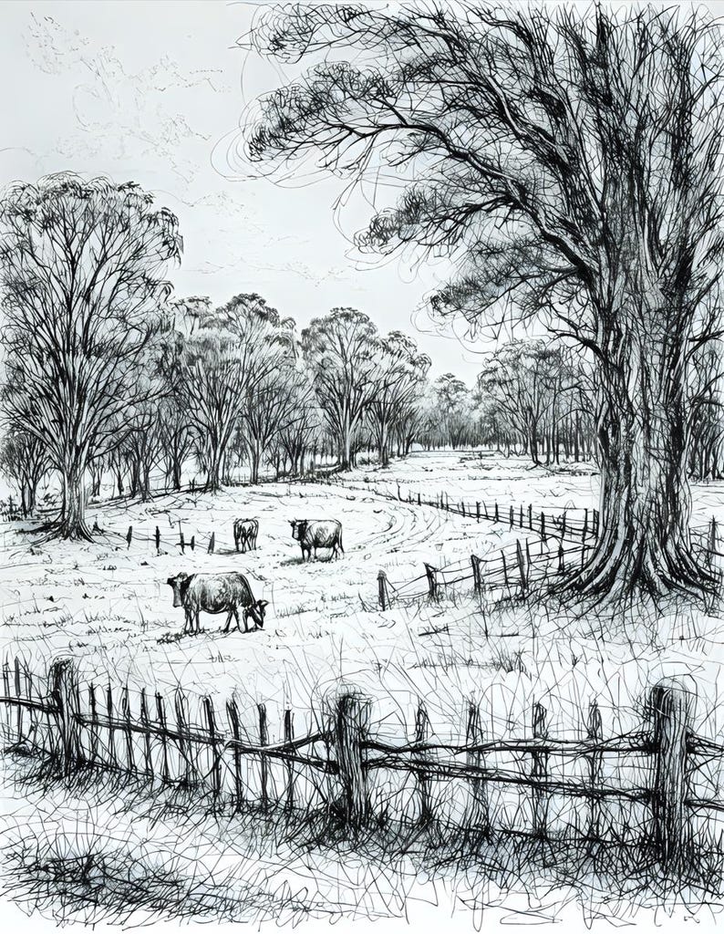 Black and White Farmland Sketch With Cows in Paddock - Etsy