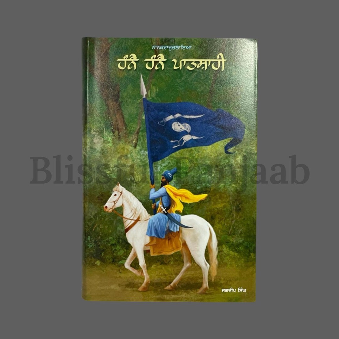 Hane Hane Patshahi Sikh Book, Sikh History Books, Sikh Real Stories ...