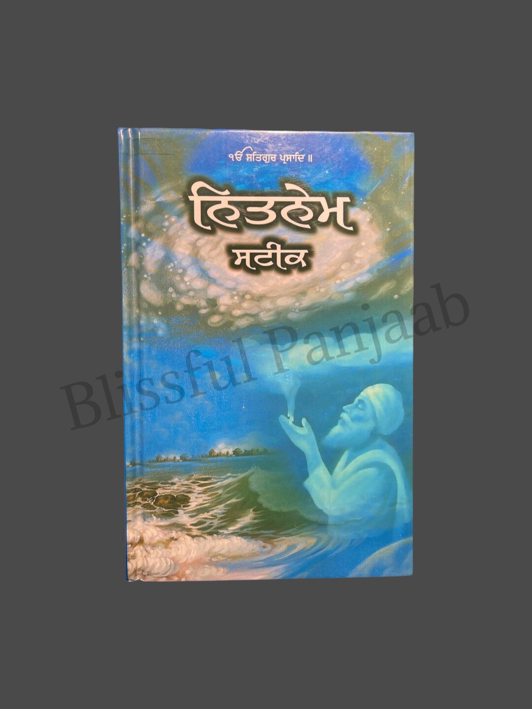 Nitnem Gutka Sahib, Nitnem Steek, Sikh Holy Book, Sikh Items, - Etsy