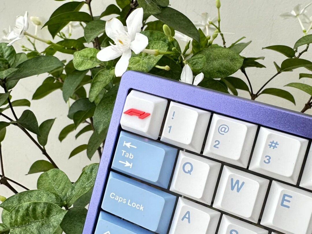 Formula 1 Keycap 3d-printed F1-inspired Keyboard Accessory - Etsy UK