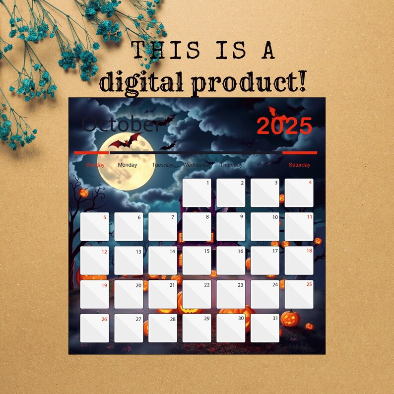 EDITABLE Monthly Calendar 2025 Bundle monday Starts, Cute Printable ...
