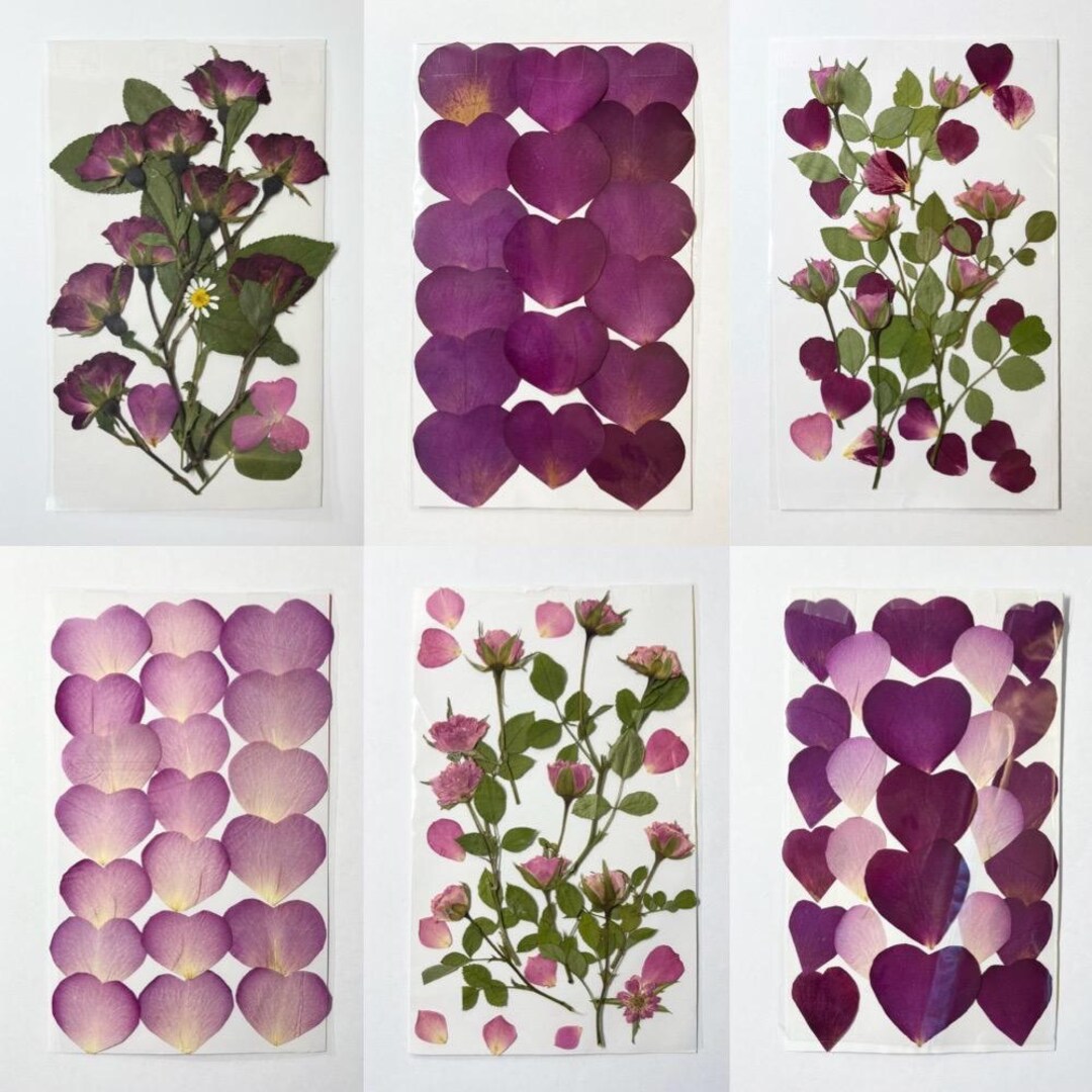 Assorted Real Pressed Pink Flowers, Botanical Art Supplies - Etsy