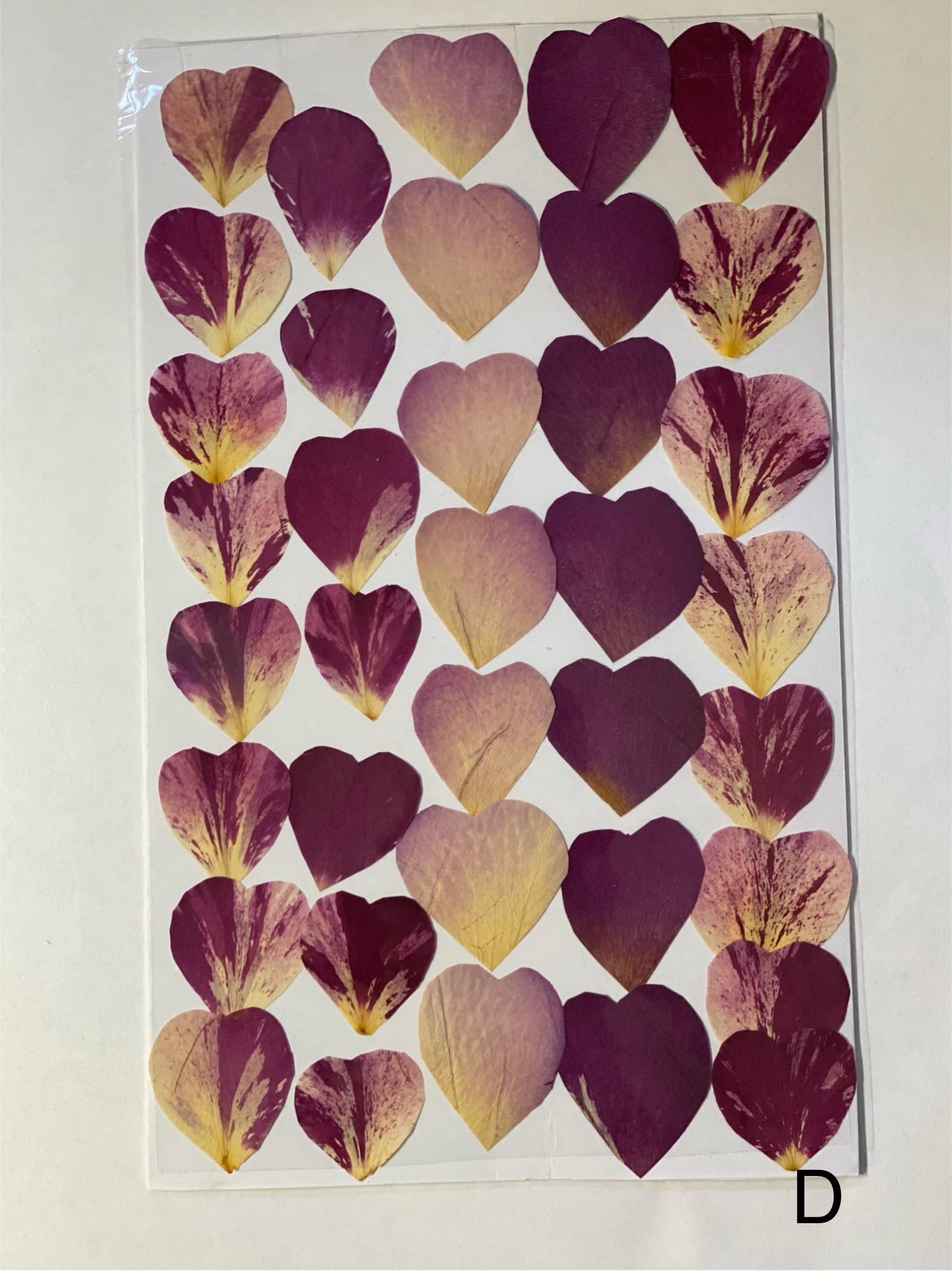 Assorted Dried Flowers, Real Pressed Flowers, Preserved Plants for Art ...