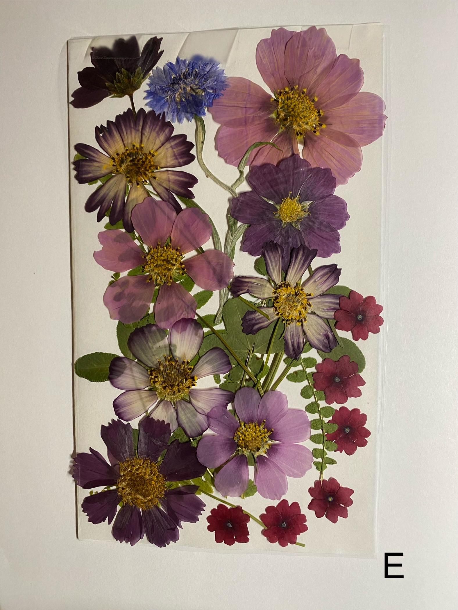 Assorted Dried Flowers, Real Pressed Flowers, Preserved Plants for Art ...