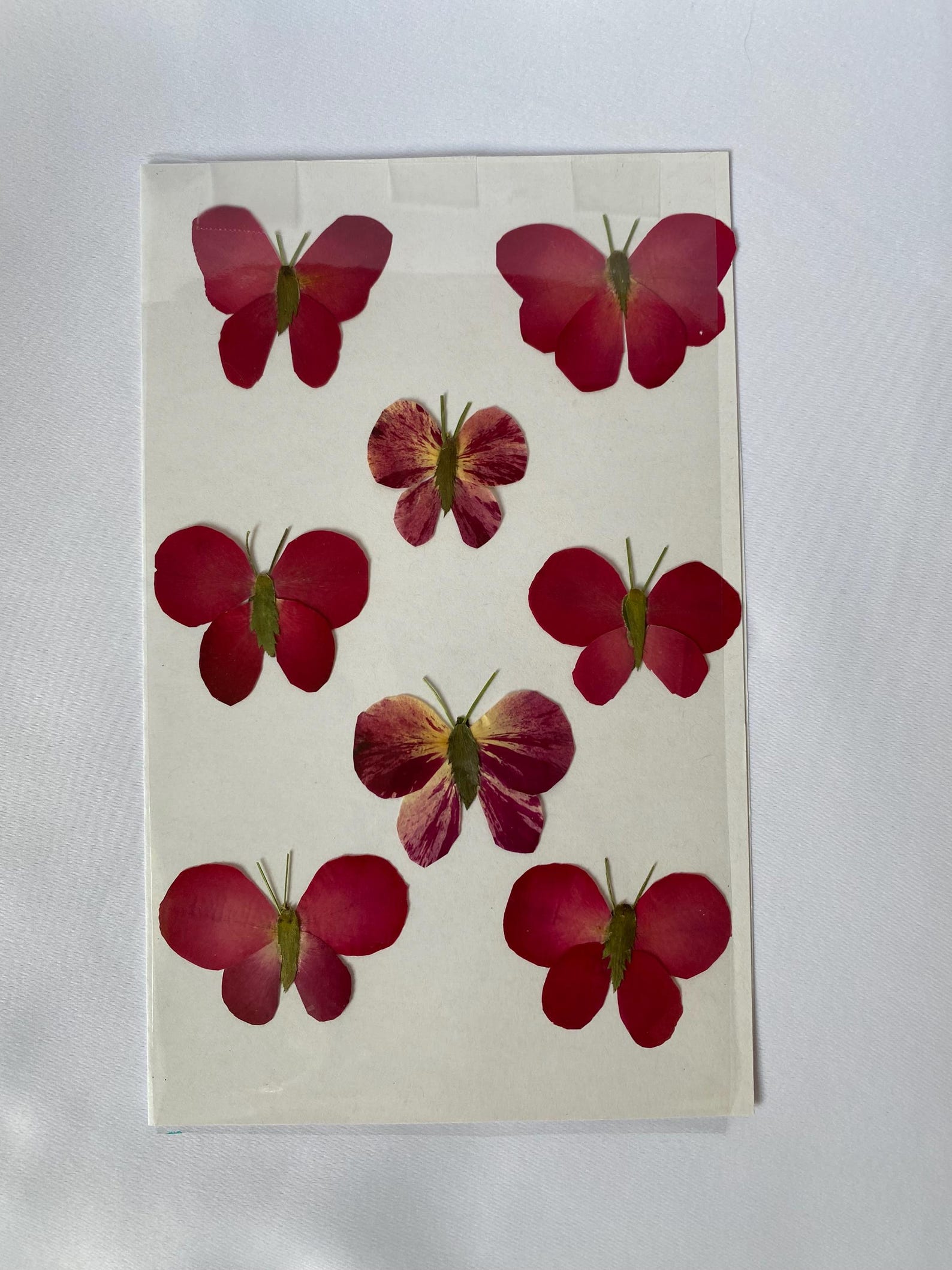 Butterfly-shaped Dried Flowers, Real Pressed Rose Petals, Pink ...