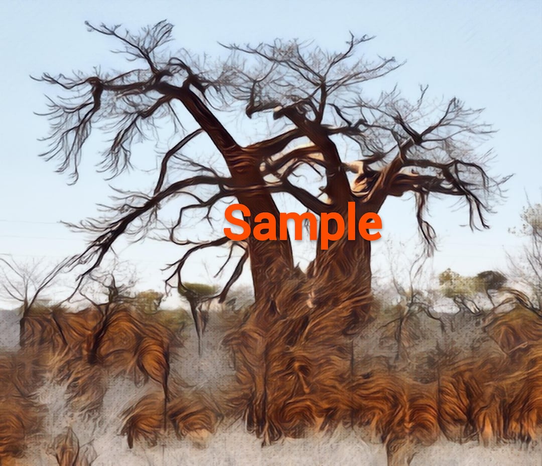 Baobab Tree Art. Print and Make Your Own Special Art Onto a Cloth, a T ...