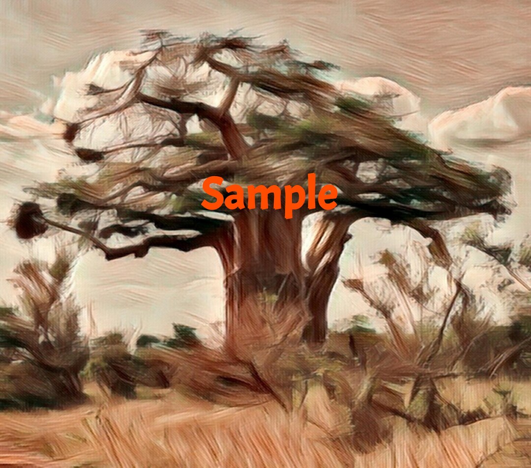 Baobab Tree Art. the Giants of the African Bush-veld 5 X Files Ready to ...