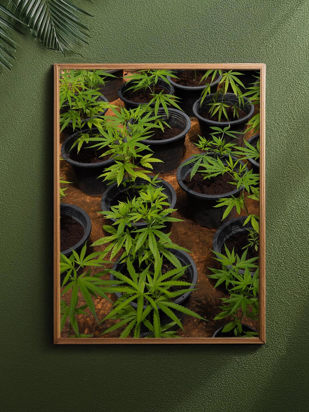 Cannabis Leaf Poster Weed Leaf Wall Art Print Herbal Cannabis Poster ...