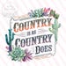 Country is as Country Does Colorful Western Style With Succulents High ...