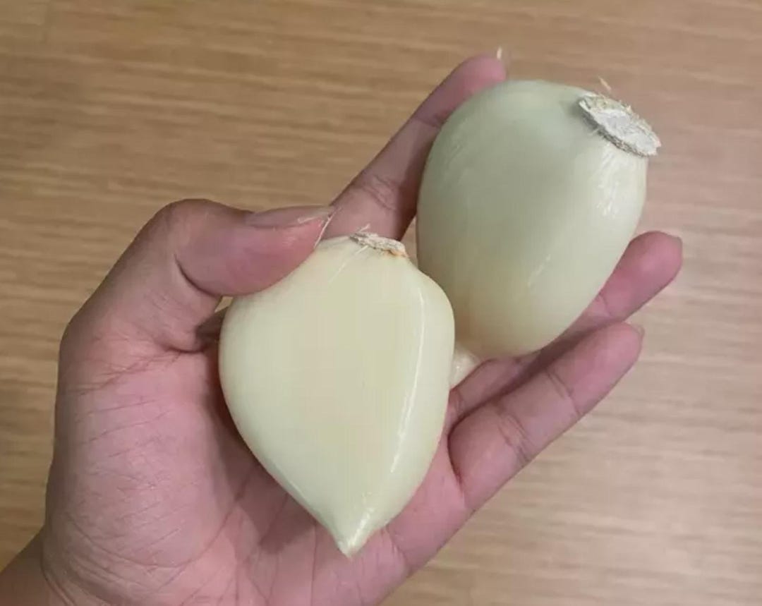 Elephant Garlic Cloves or Bulbs | Allium Ampeloprasum | Fresh Harvest ...