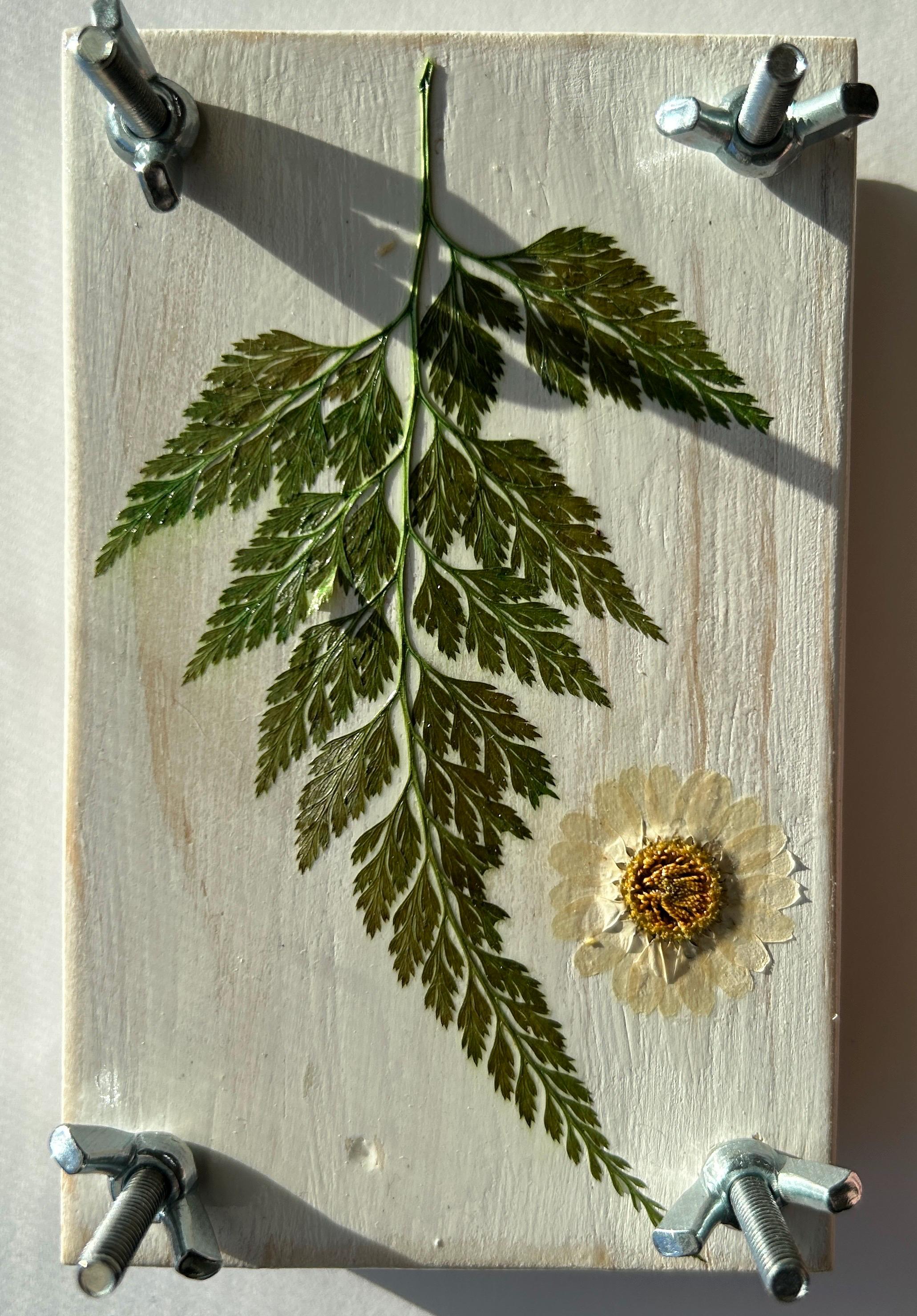 Handmade Wooden Flower Press Made From Upcycled Recycled Pallet Wood - Etsy
