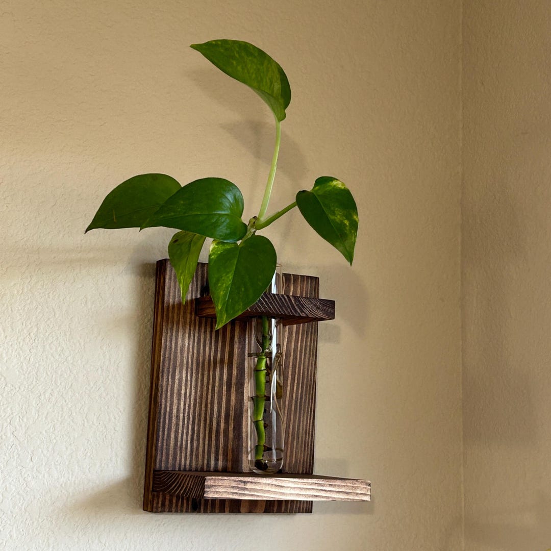 Unique Handmade Rustic Test Tube Shelf Set of 2 Made From Upcycled ...