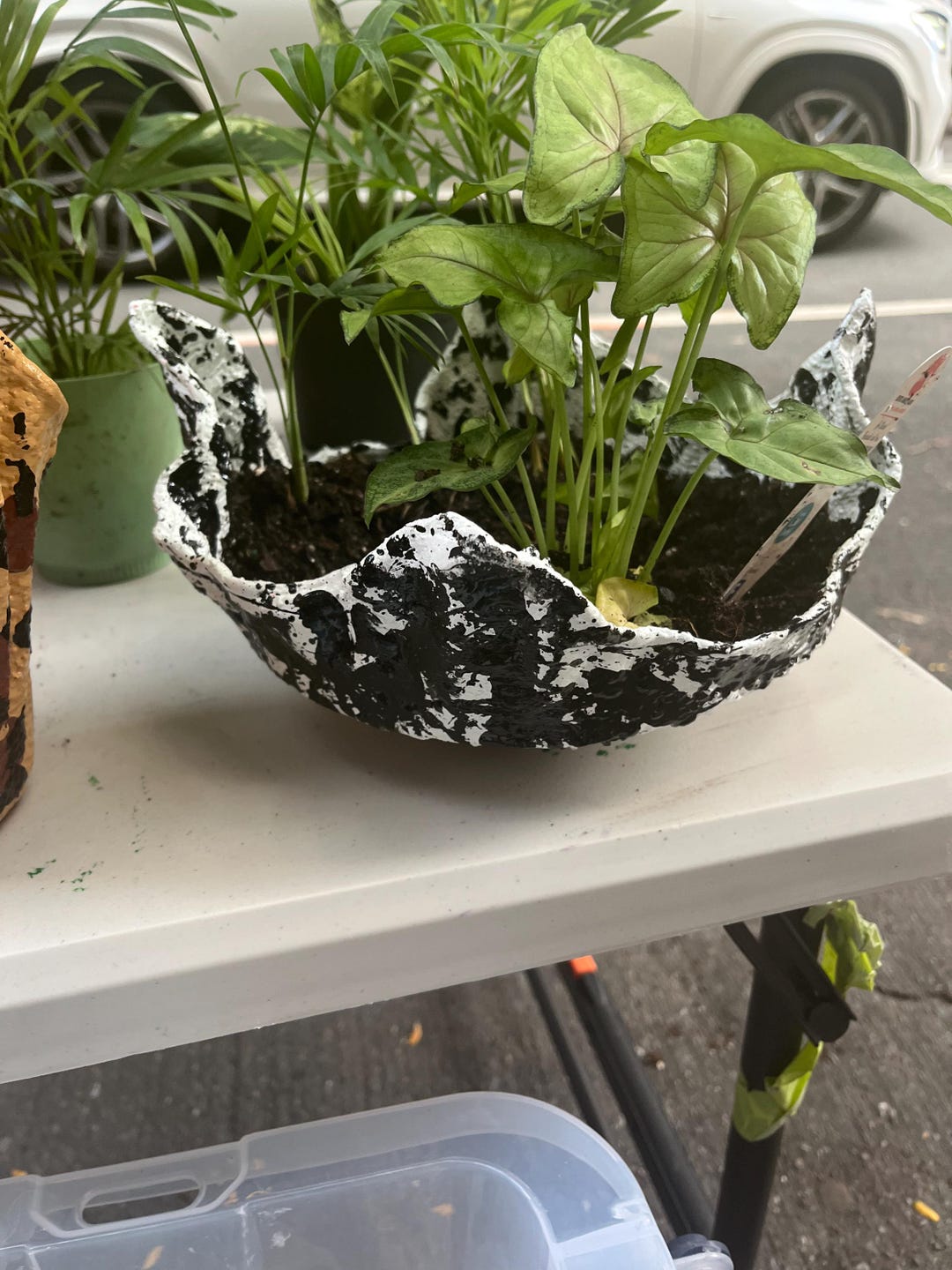 Unique 8" Wide Platter. Great for Succulent Plants. Custom Hand Made ...