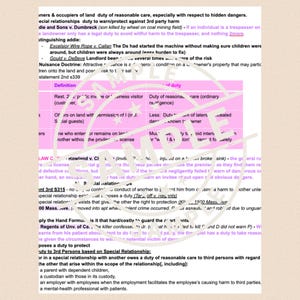 Digital Law School 1L Torts Outline - Etsy