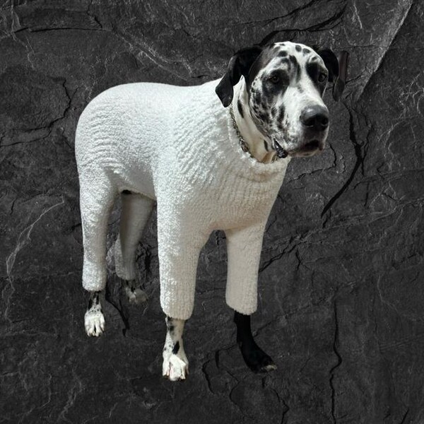 Great Dane Coat - Etsy