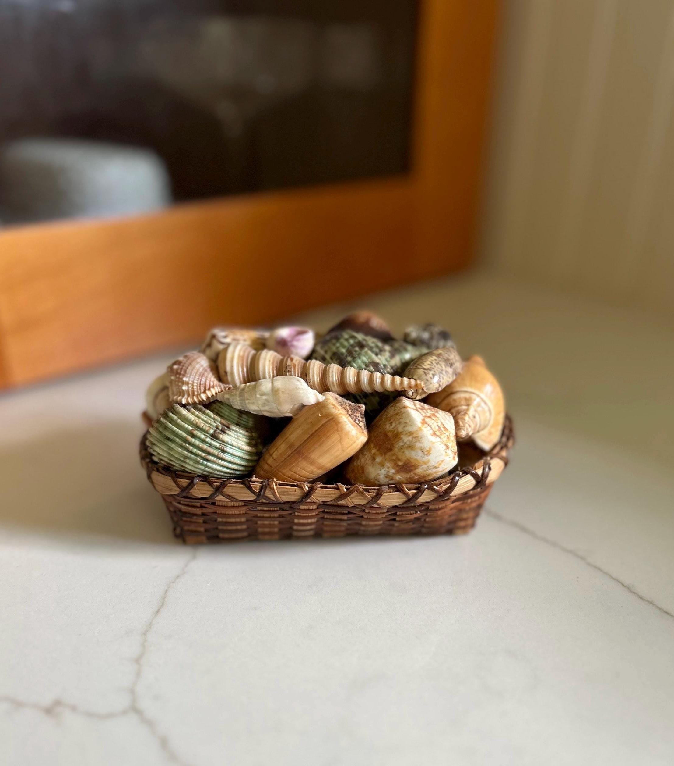 Vintage Victorian French Style Coastal Shell Seashell Decor Maximalist ...