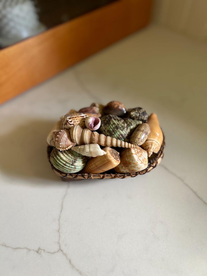 Vintage Victorian French Style Coastal Shell Seashell Decor Maximalist ...