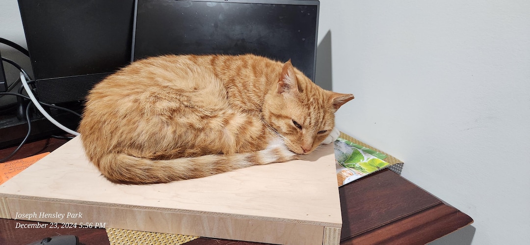 Laptop and Keyboard Cover/ Cat Protector - Etsy
