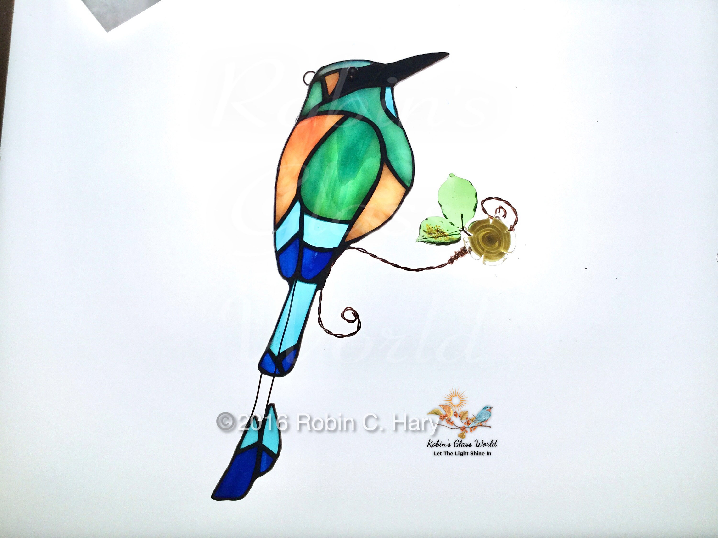 Turquoise Browed Motmot Drawing
