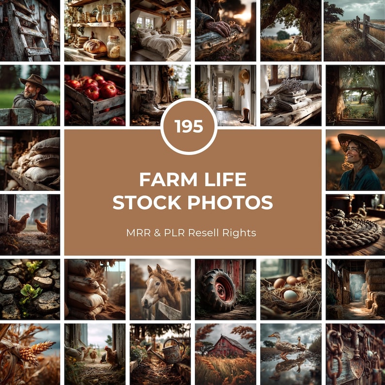 Rustic Farm Life Stock Photo Bundle: Barn, Cows, Chickens (MRR + PLR ...