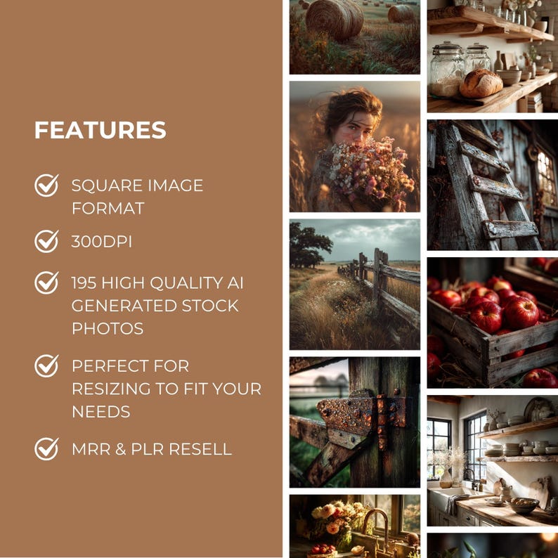 Rustic Farm Life Stock Photo Bundle: Barn, Cows, Chickens (MRR + PLR ...