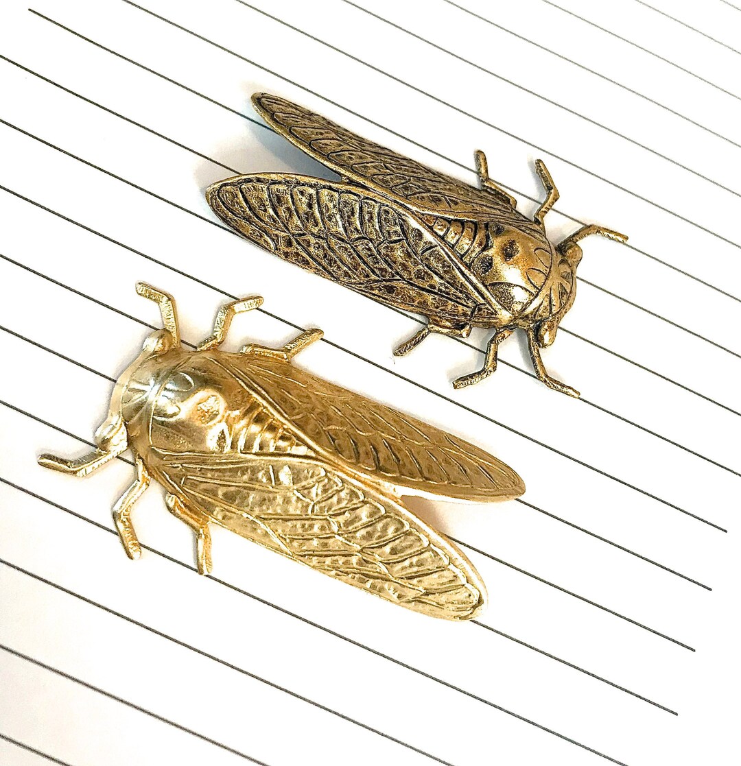 2 Brass Cicada Stamping, Made in USA, Brass Beetle , Metal Insect ...