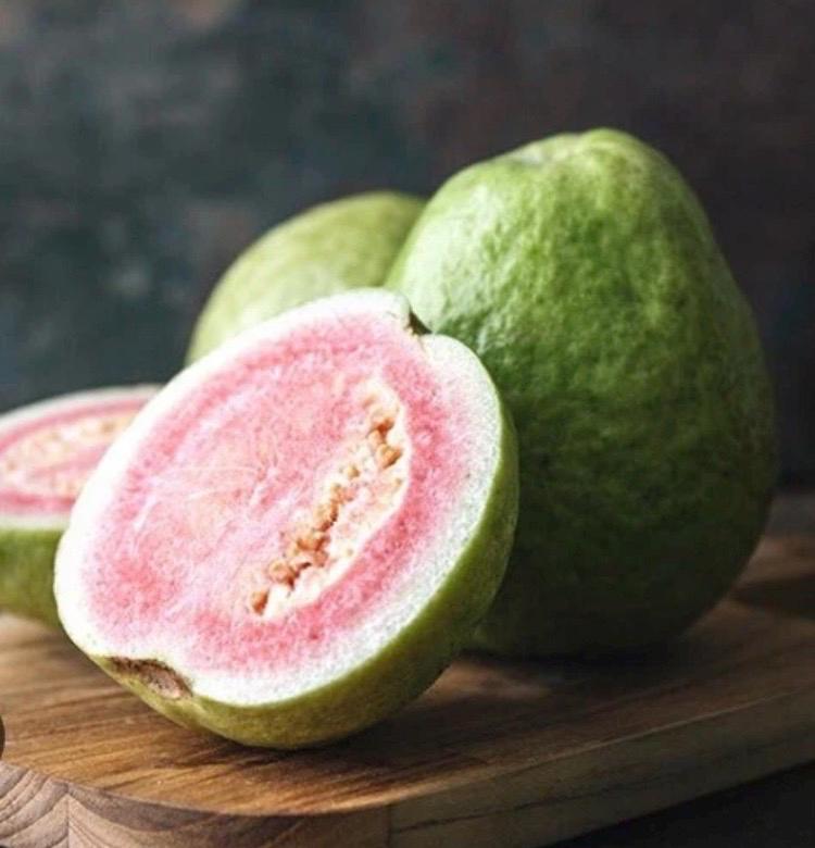 4”-10” Pink Guava Fruit Tree Planting Exotic Delicious Tropical Fruit 4 ...
