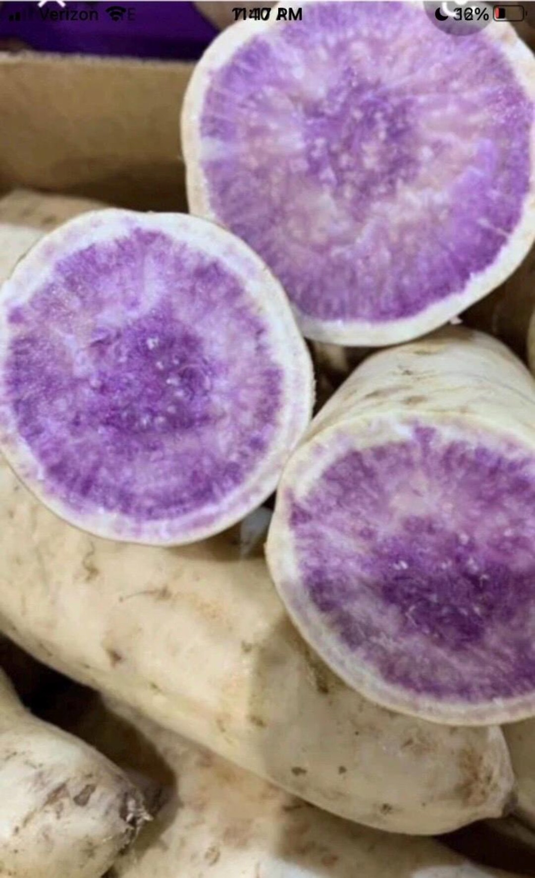 10 Okinawa Purple Sweet Potato Slips -cuttings - Organically Grown ...