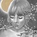 Overture Beautiful Woman Portrait With Moon and Blossoms Original ...