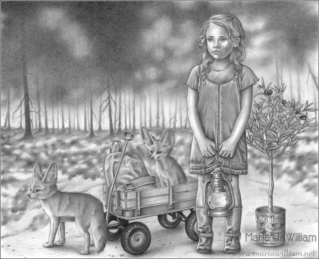 Realignment Original Graphite Drawing, Young Girl With Fennec Foxes ...