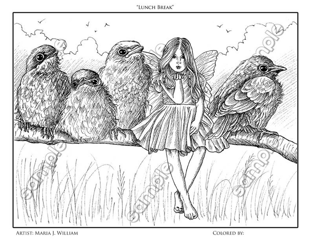 Cute Fairy & Birds Fantasy Coloring Page by Maria J. William, Instant ...
