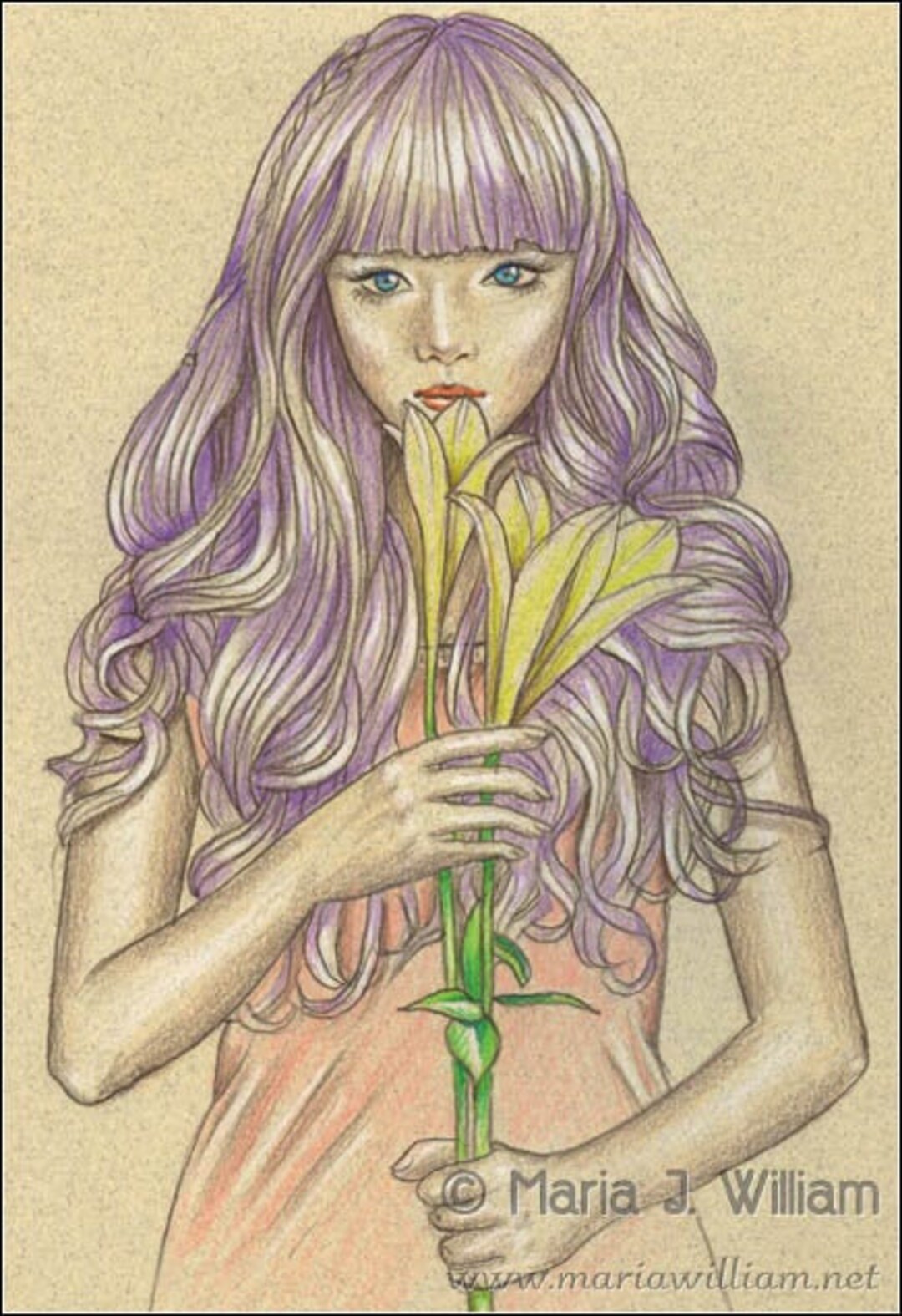 Wistful - Original Colored Pencil Sketch, Beautiful Girl With Lily ...