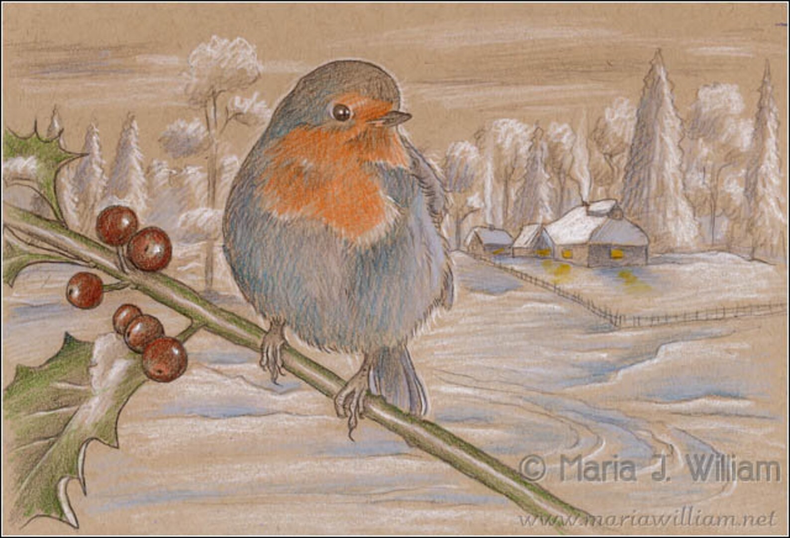 Robin in Winter Original Colored Pencil Sketch Cute Bird on - Etsy
