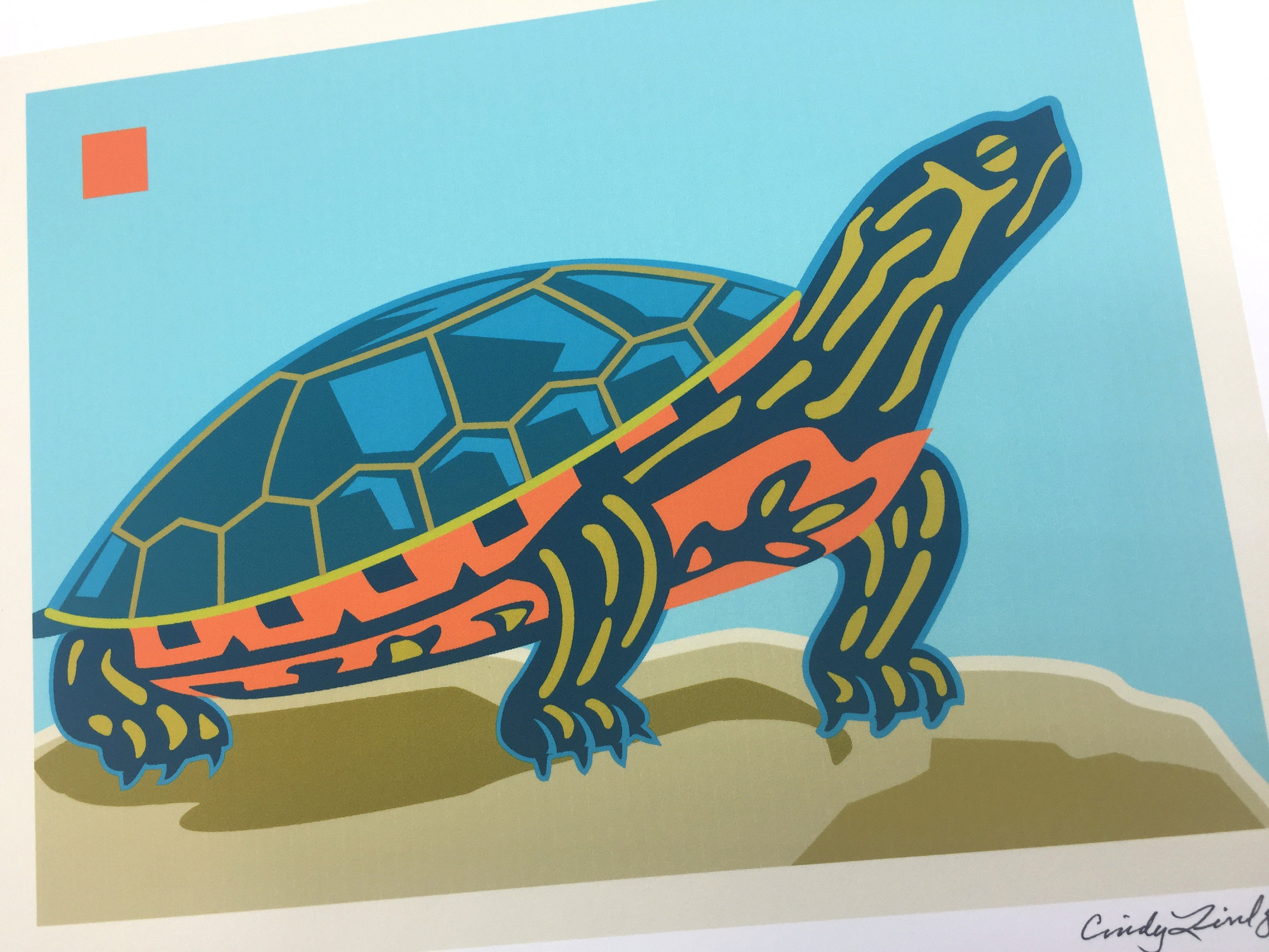 Turtle 8x10 Print - Etsy