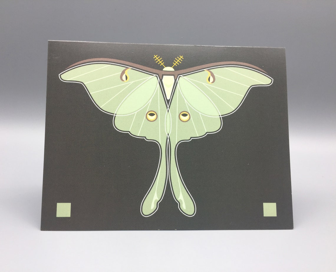 Luna Moth Note Card - Etsy