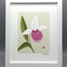 Lady Slipper Art Print - Etsy
