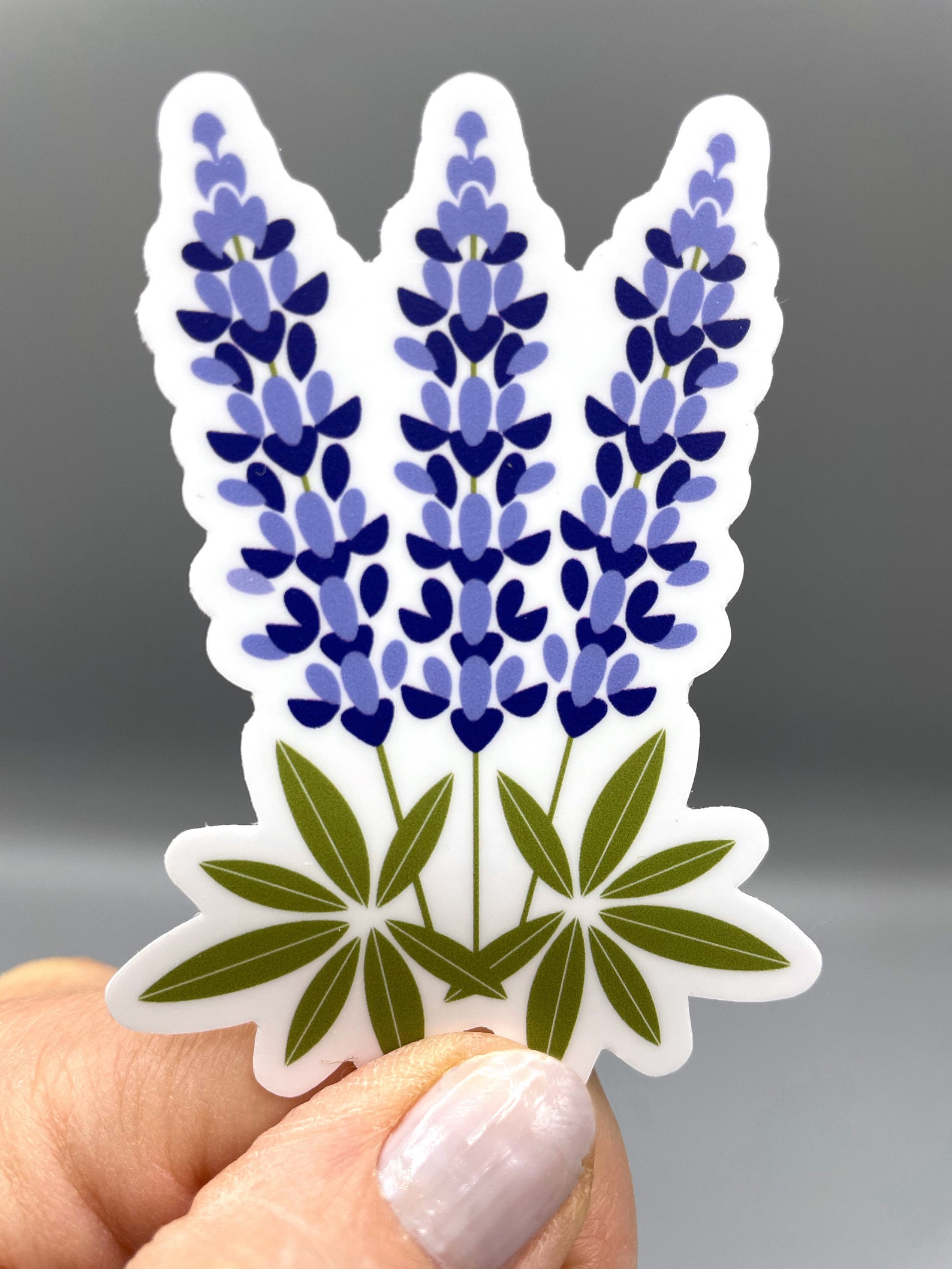 Lupine Flower Vinyl Sticker - Etsy