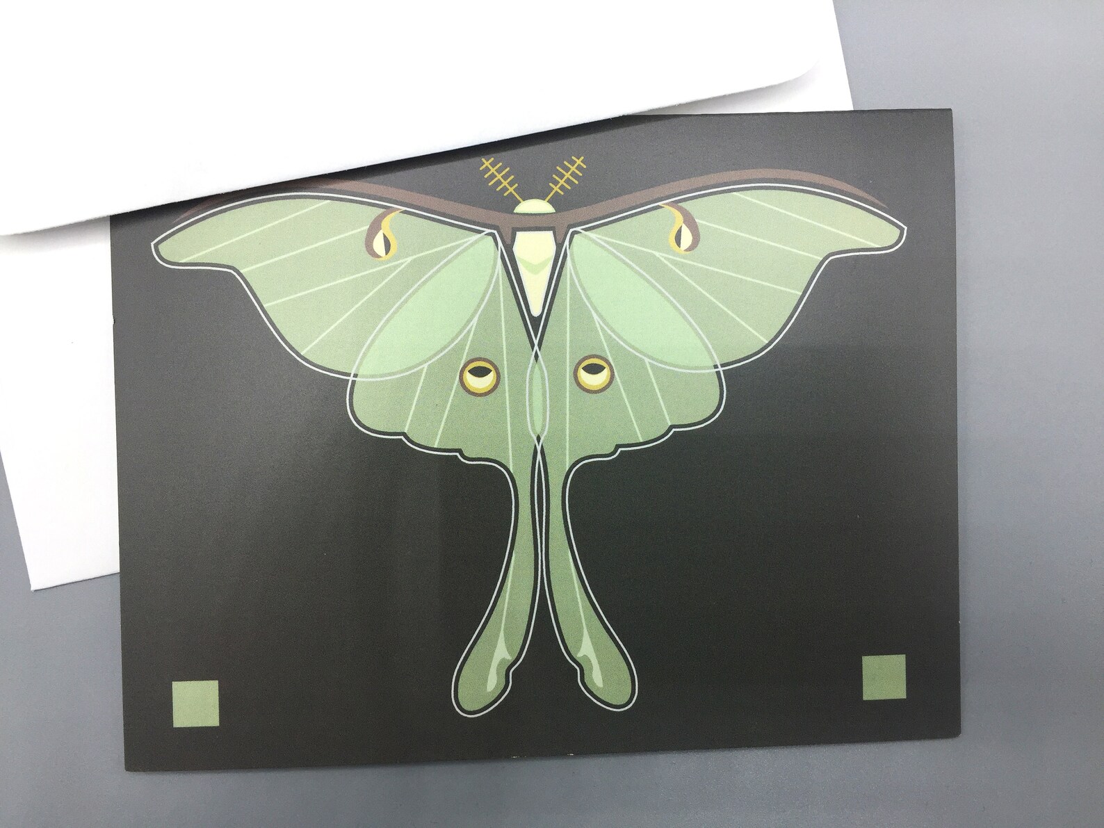 Luna Moth Note Card - Etsy