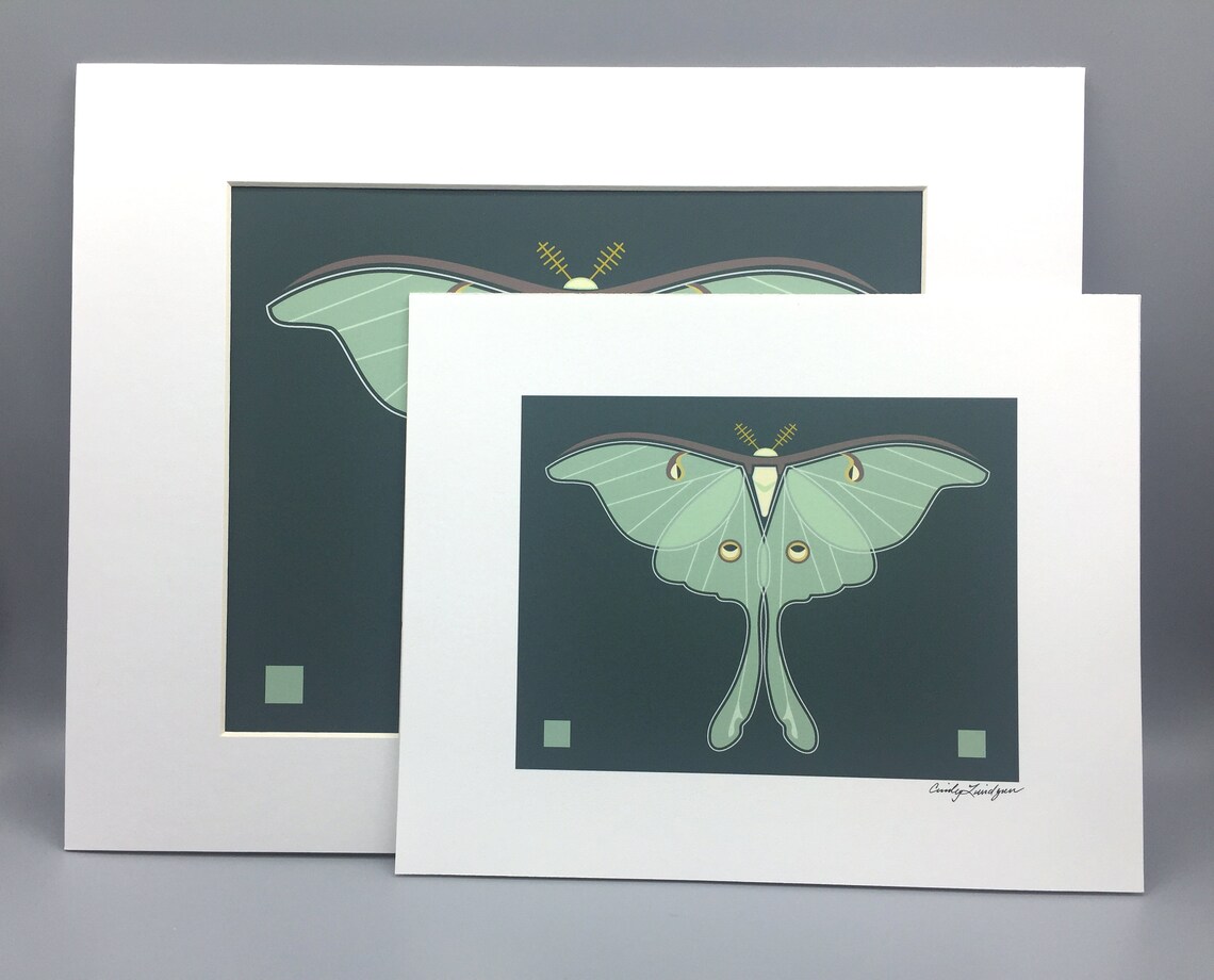 Luna Moth Art Print | Etsy