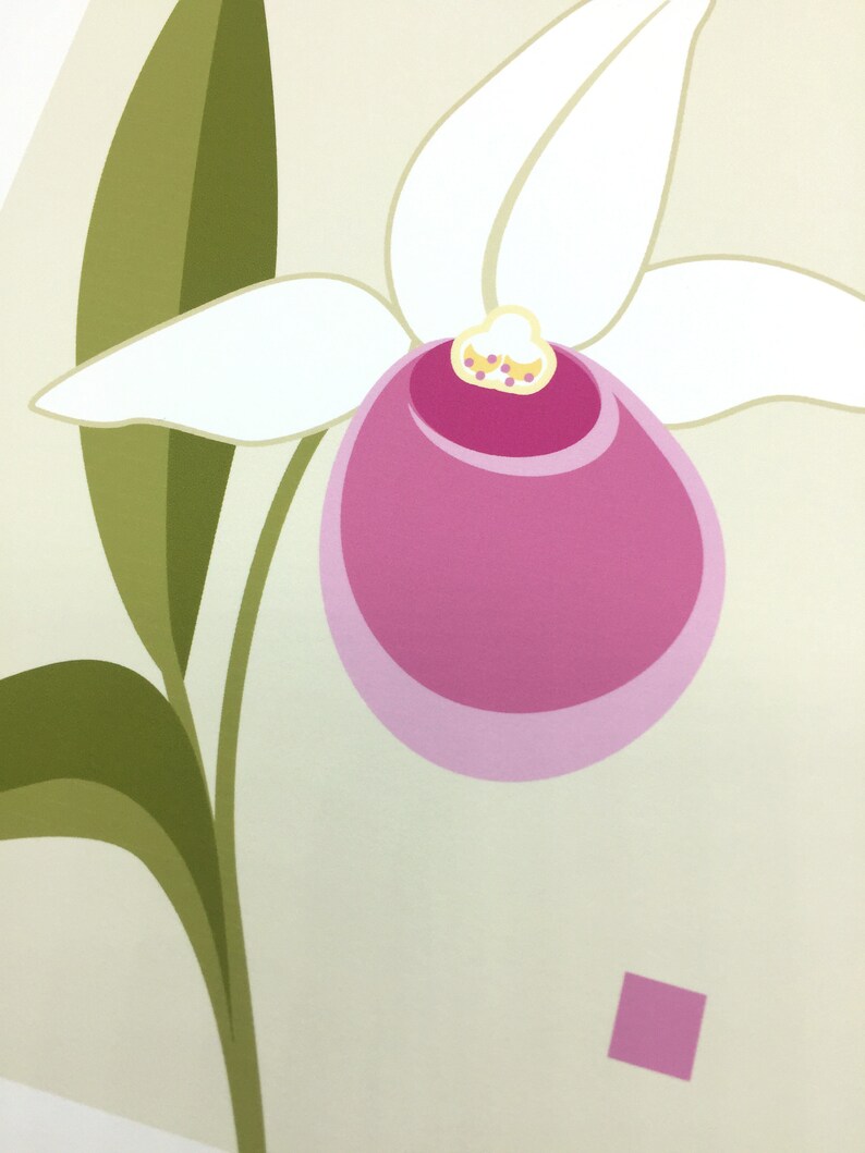 Lady Slipper Art Print - Etsy