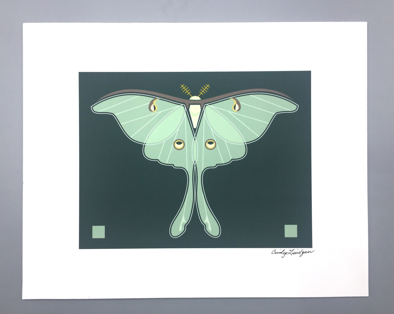 Luna Moth Art Print | Etsy