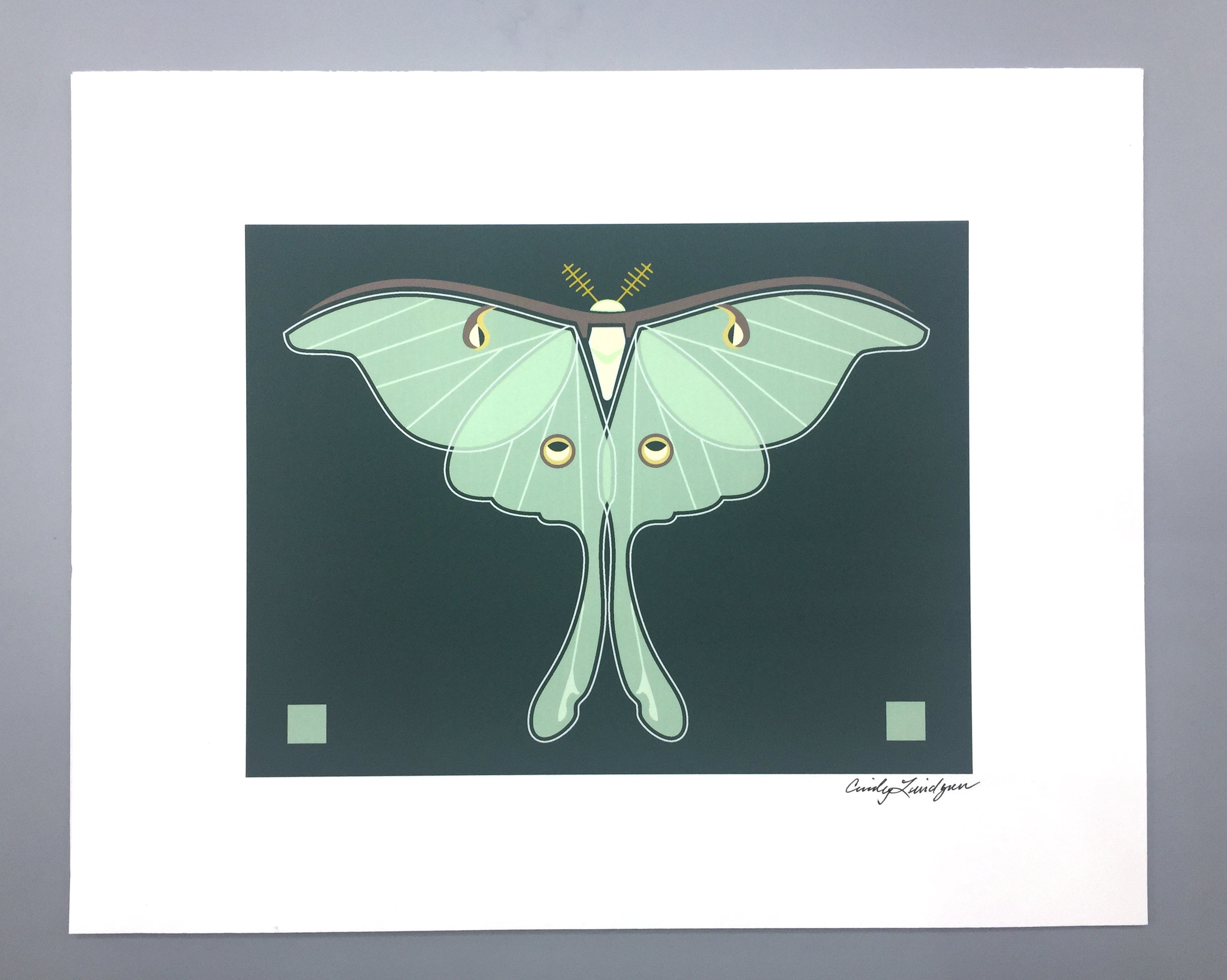 Luna Moth Art Print | Etsy