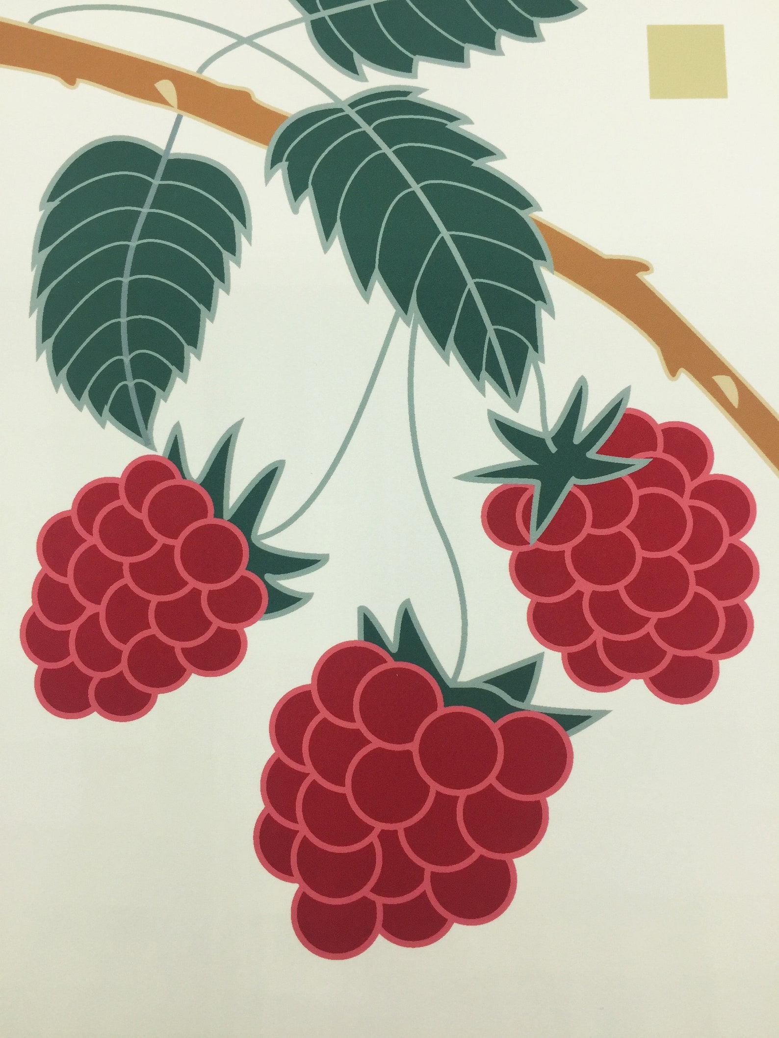 Raspberry Art Print - Etsy