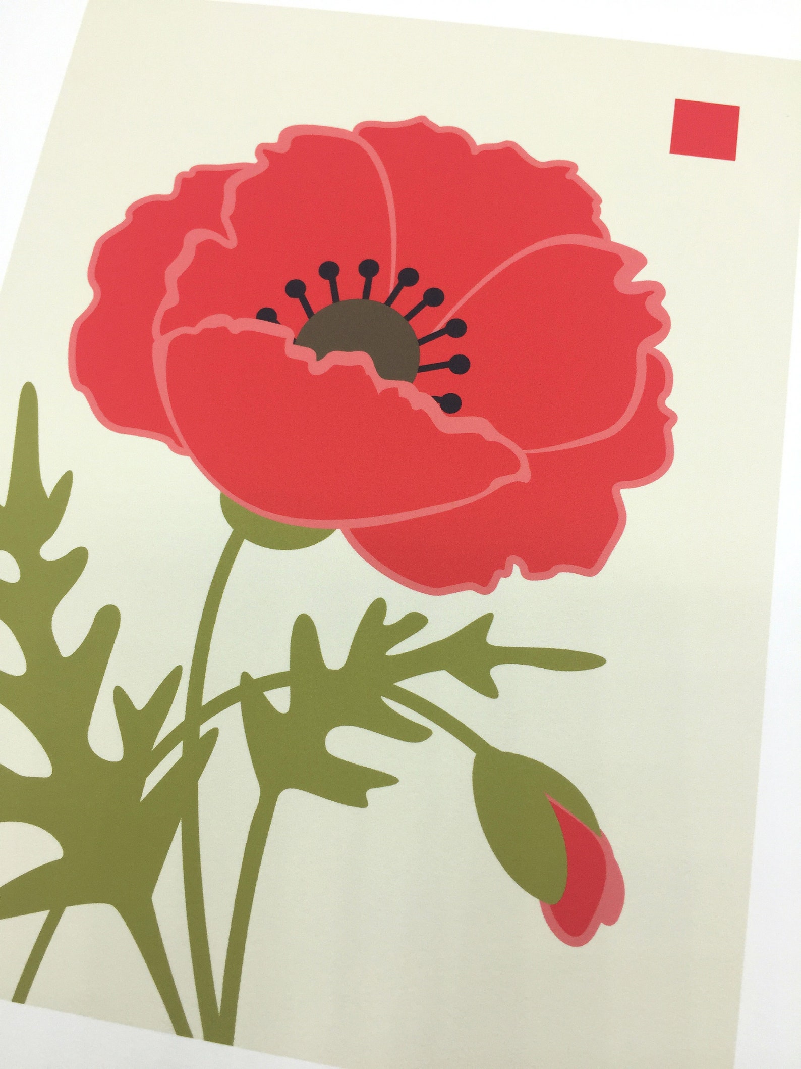 Red Single Poppy Art Print - Etsy