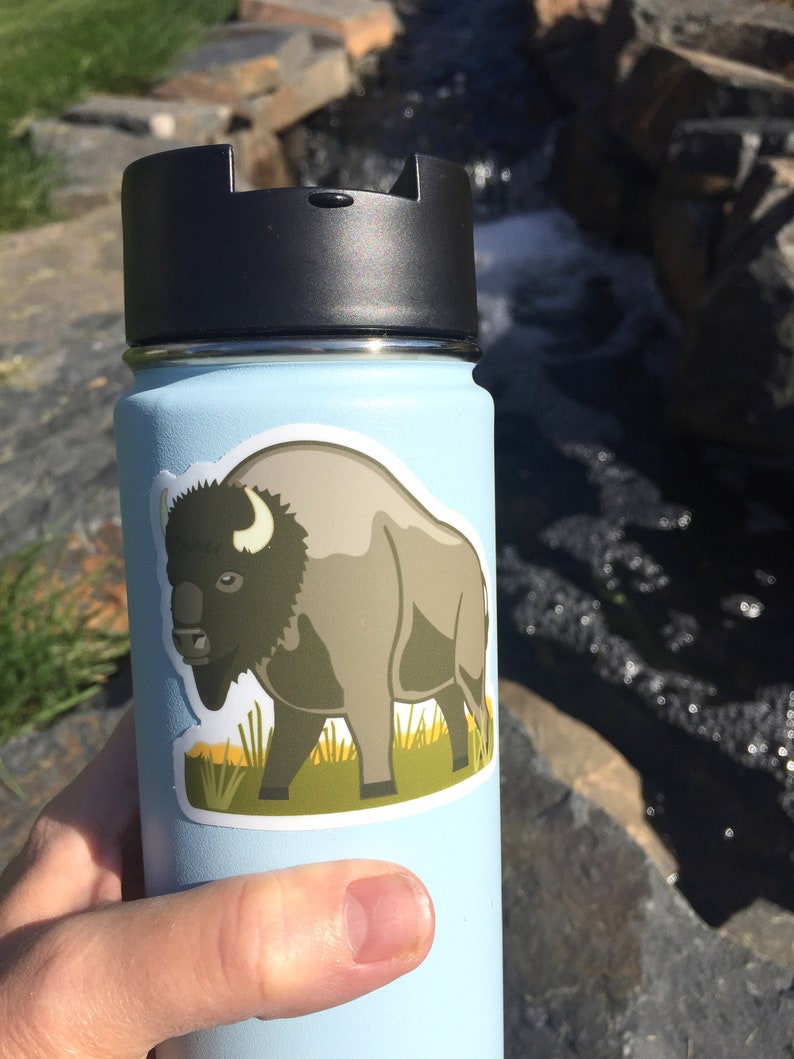 Bison Vinyl Sticker - Etsy