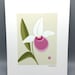 Lady Slipper Art Print - Etsy