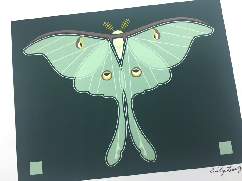 Luna Moth Art Print - Etsy