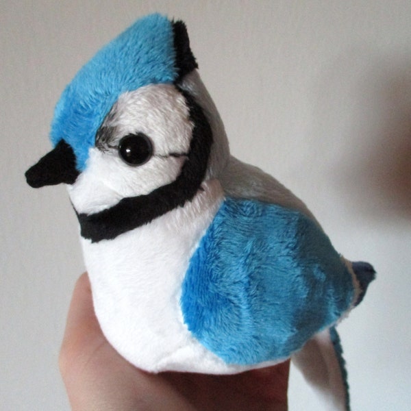 Baby Blue Jay - Etsy