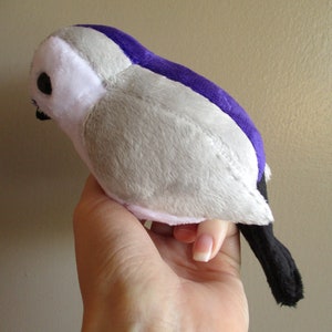 Asexual/demisexual Pride Plush Bird - Etsy